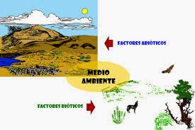 CATEDRA DE BIOLOGIA: EL MEDIO AMBIENTE Y LA RELACION CON LOS SERES VIVOS