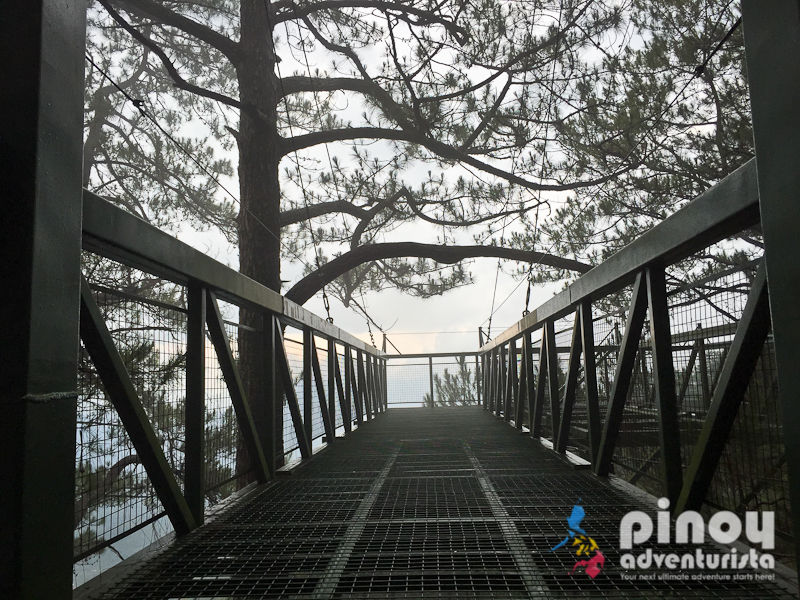Experience Fun and Adventure at Tree Top Adventure Baguio City! | Blogs ...