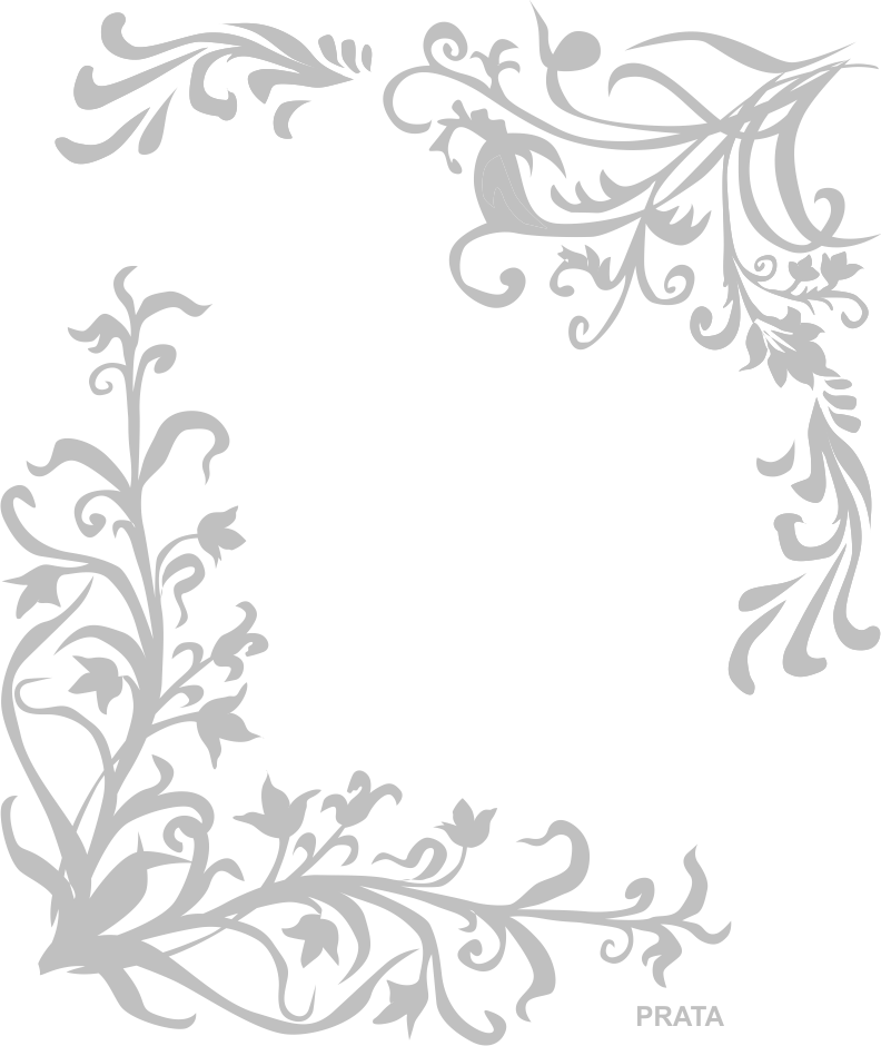 IMAGENSNET: PRATEADO PNG