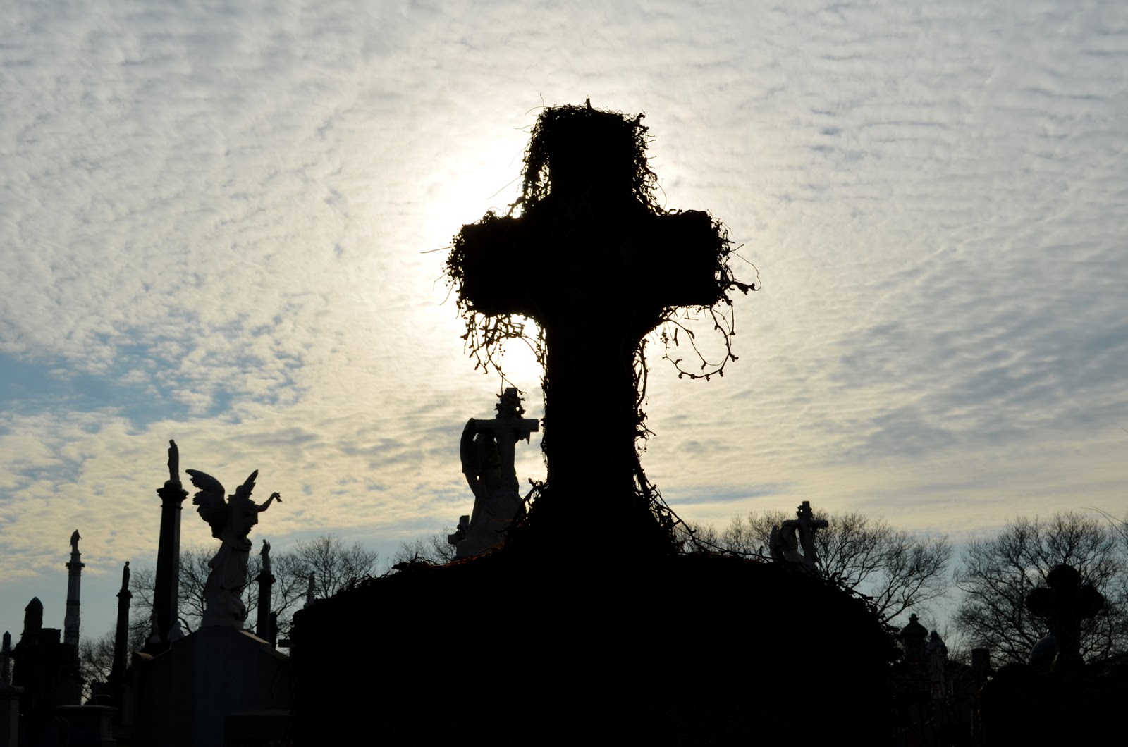 This Hidden City: Old Calvary Cemetery