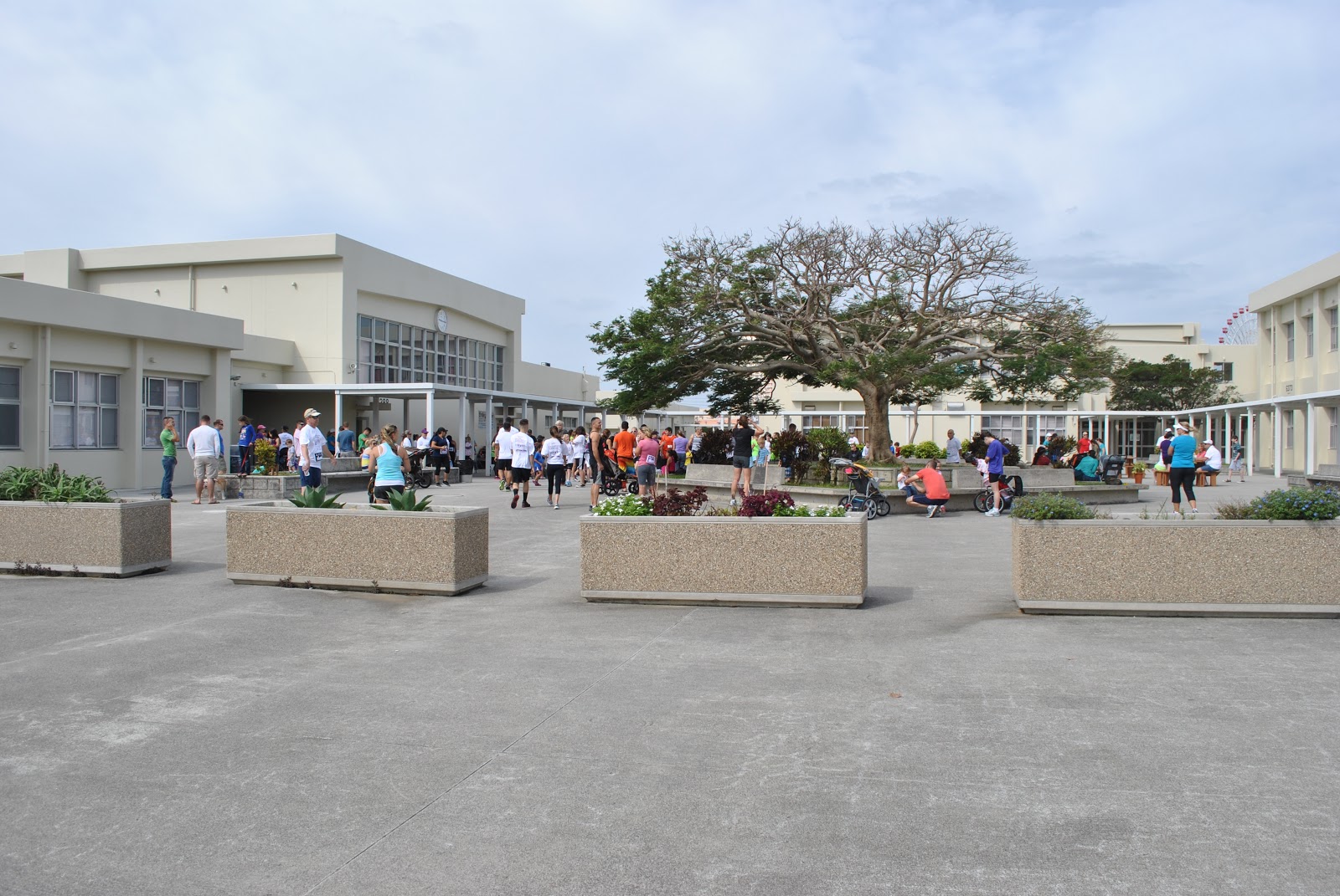 Ryukyu Travels: 5K Lester Middle School - April 27