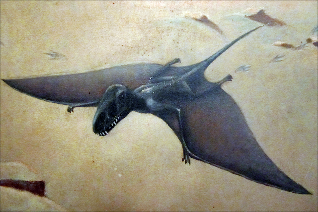 The Adventures of C. M. Kosemen: Epic Art of Prehistoric Flying ...
