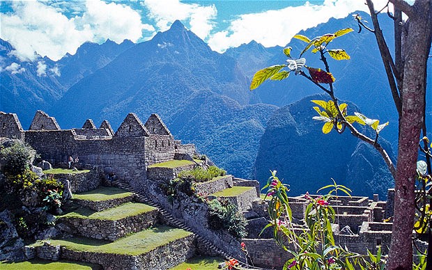 Milktart...Life through my eyes