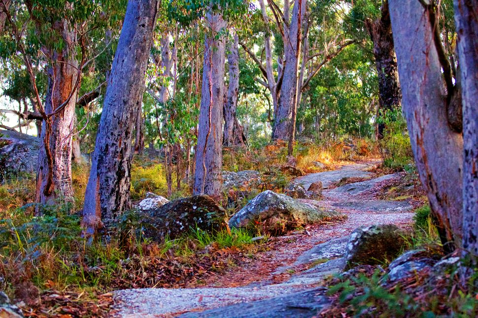 anna maria: Australian photographer Di Lymbury (Nardoo)