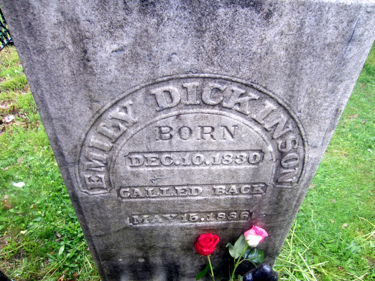 Rock and roll dreams come through