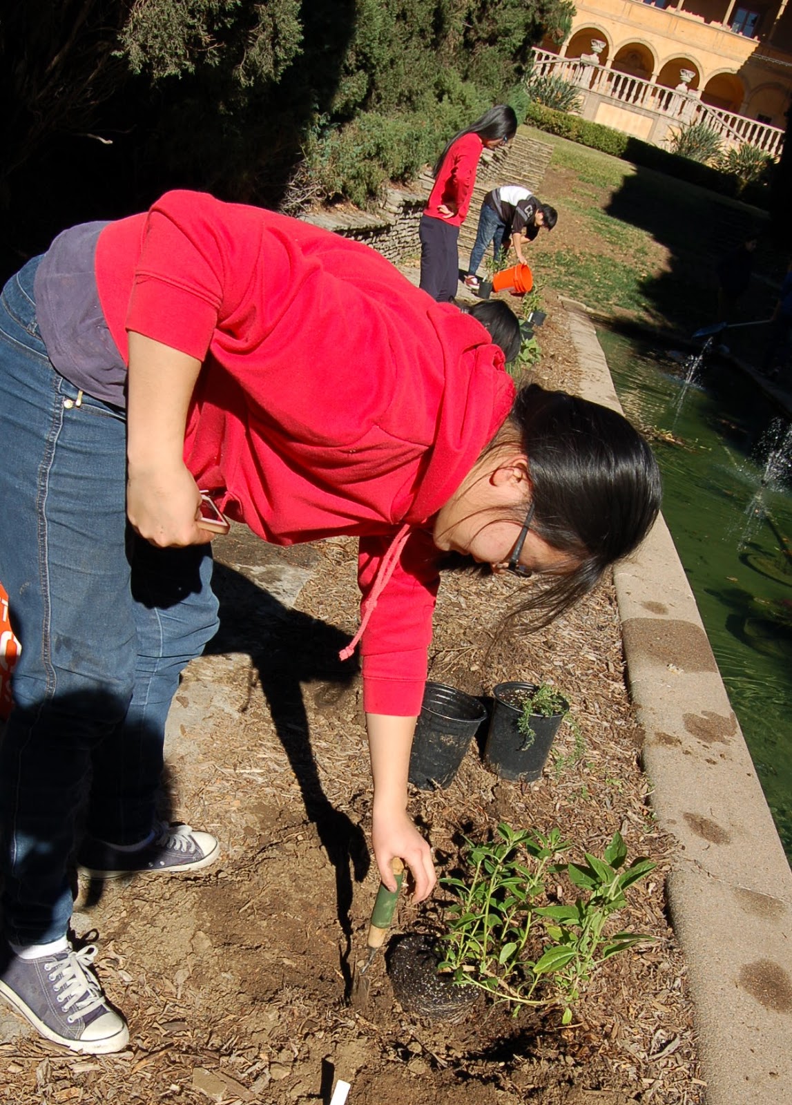 Sol d'Oro Ecology: Flaming flowers that brightly blaze