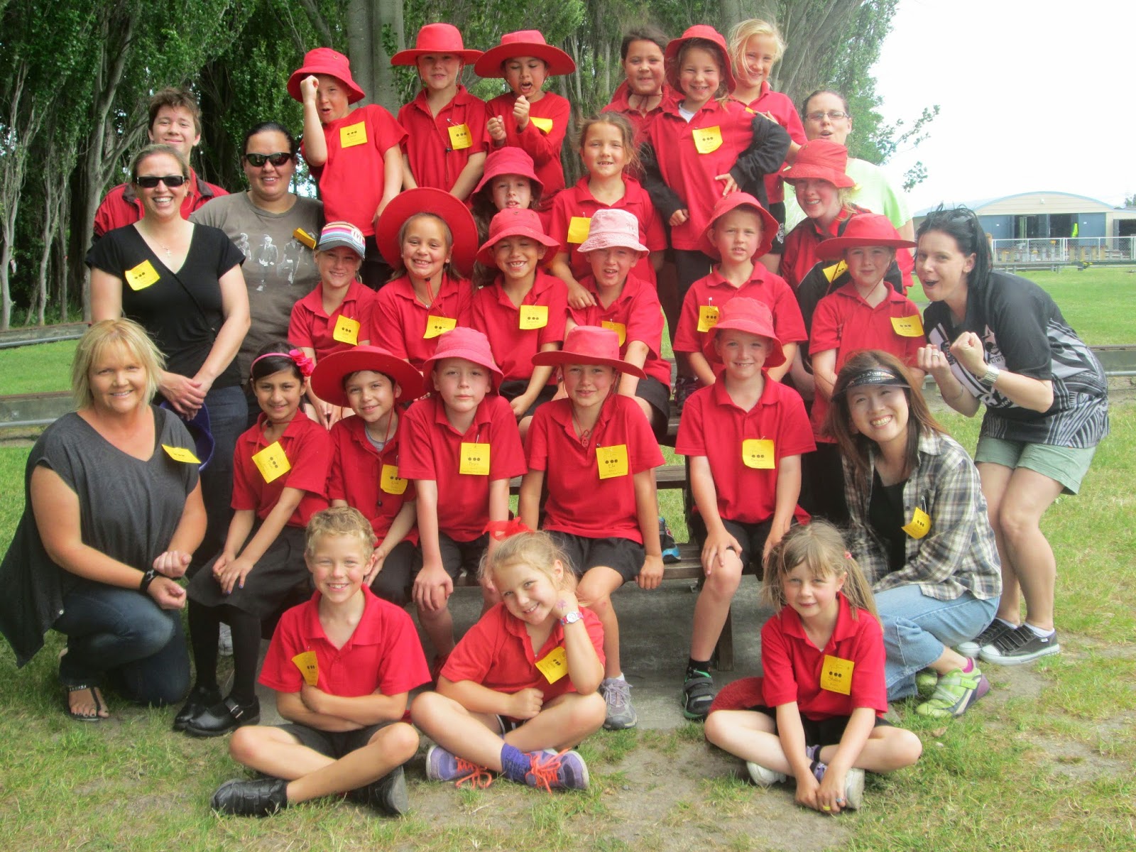 Room 6 Templeton Primary School: November 2014