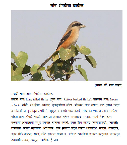 World Tourist Destinations: Bird information in marathi