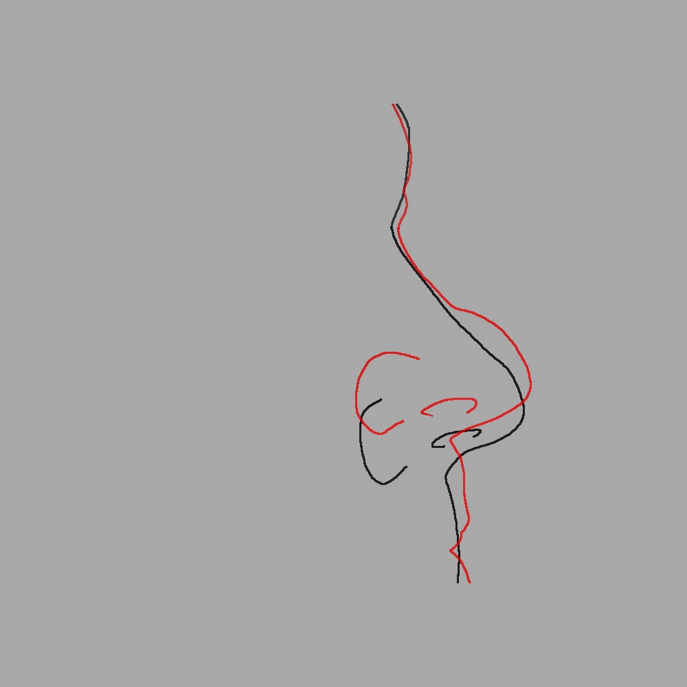 facial references for animation: nose movement [outline]