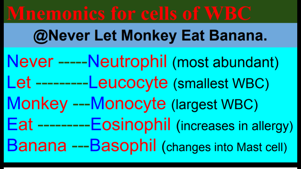 MBBS preparation ( IOM ): Mnemonics for cells of WBC and their special ...