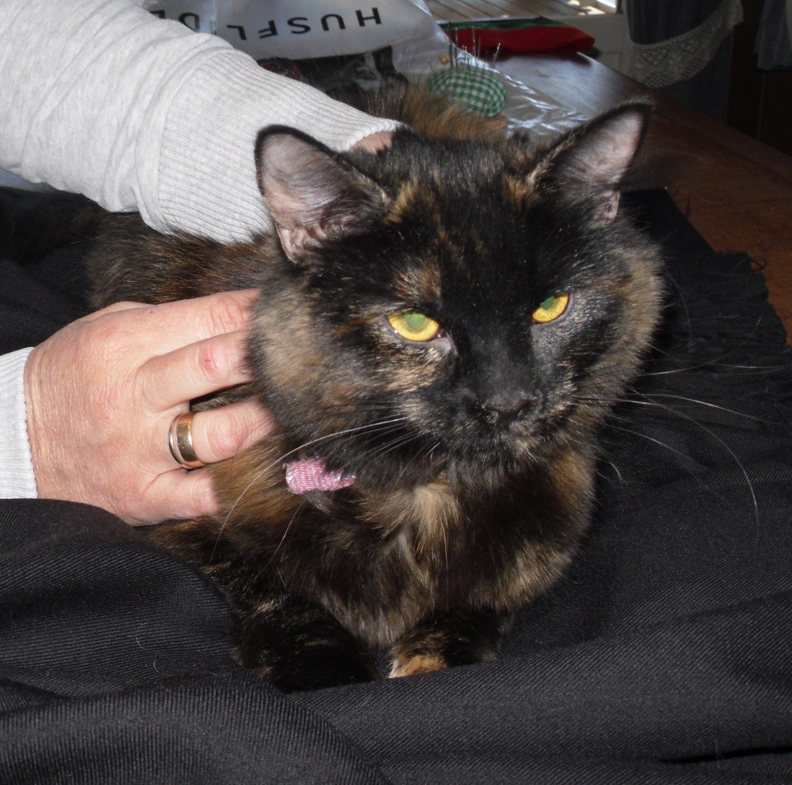 May Brit`s hobbyblogg: Bursdagskort og bilder / Birthday card and ...