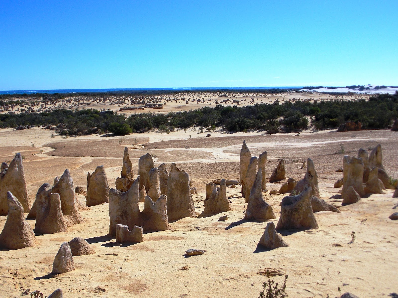 Crawf and Sue On the Move: Waiting for the Wildflowers