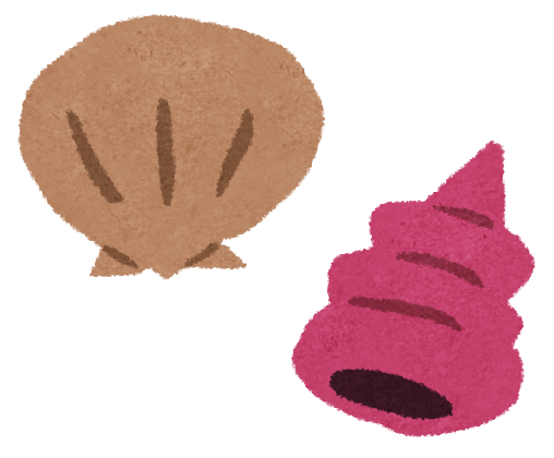 貝殻のイラスト 無料イラスト かわいいフリー素材集