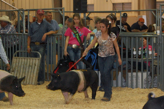 Heritage Schoolhouse: A Girl and Her Pigs