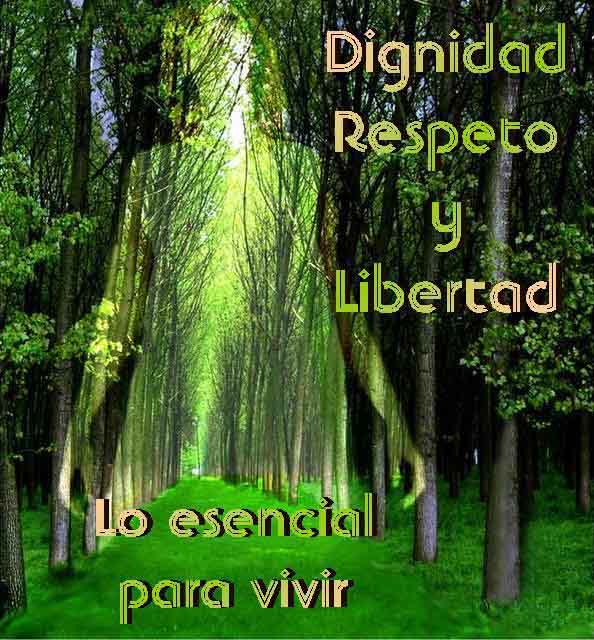 DIGNIDAD HUMANA: IMÁGENES RESPECTIVAS DE LA DIGNIDAD
