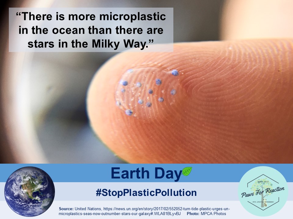 #EarthDay #Microplastic and why it's a huge problem #PlasticPollution ...