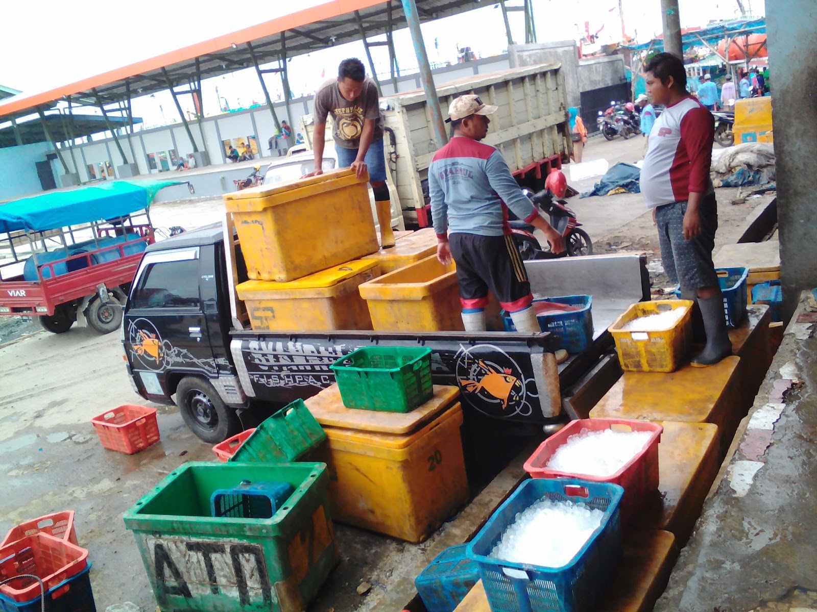 DISTRIBUSI HASIL PERIKANAN ~ Segoro lan Iwak