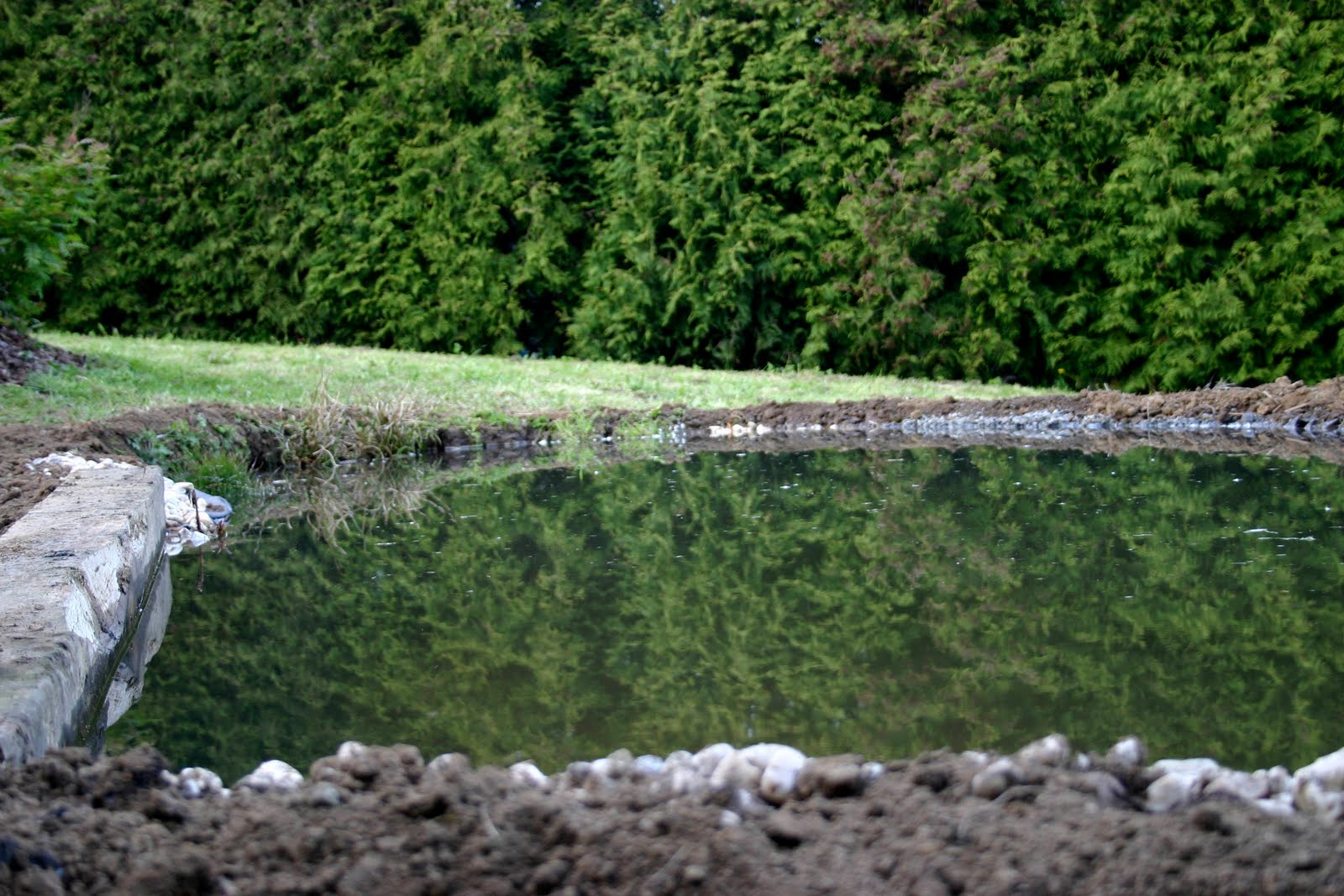 MODELKIT WORKSHOP: The "pond" Project... Initiated in 2008...