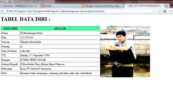 Membuat Biodata Dengan Html Script Html Biodata Keren - Udin Blog