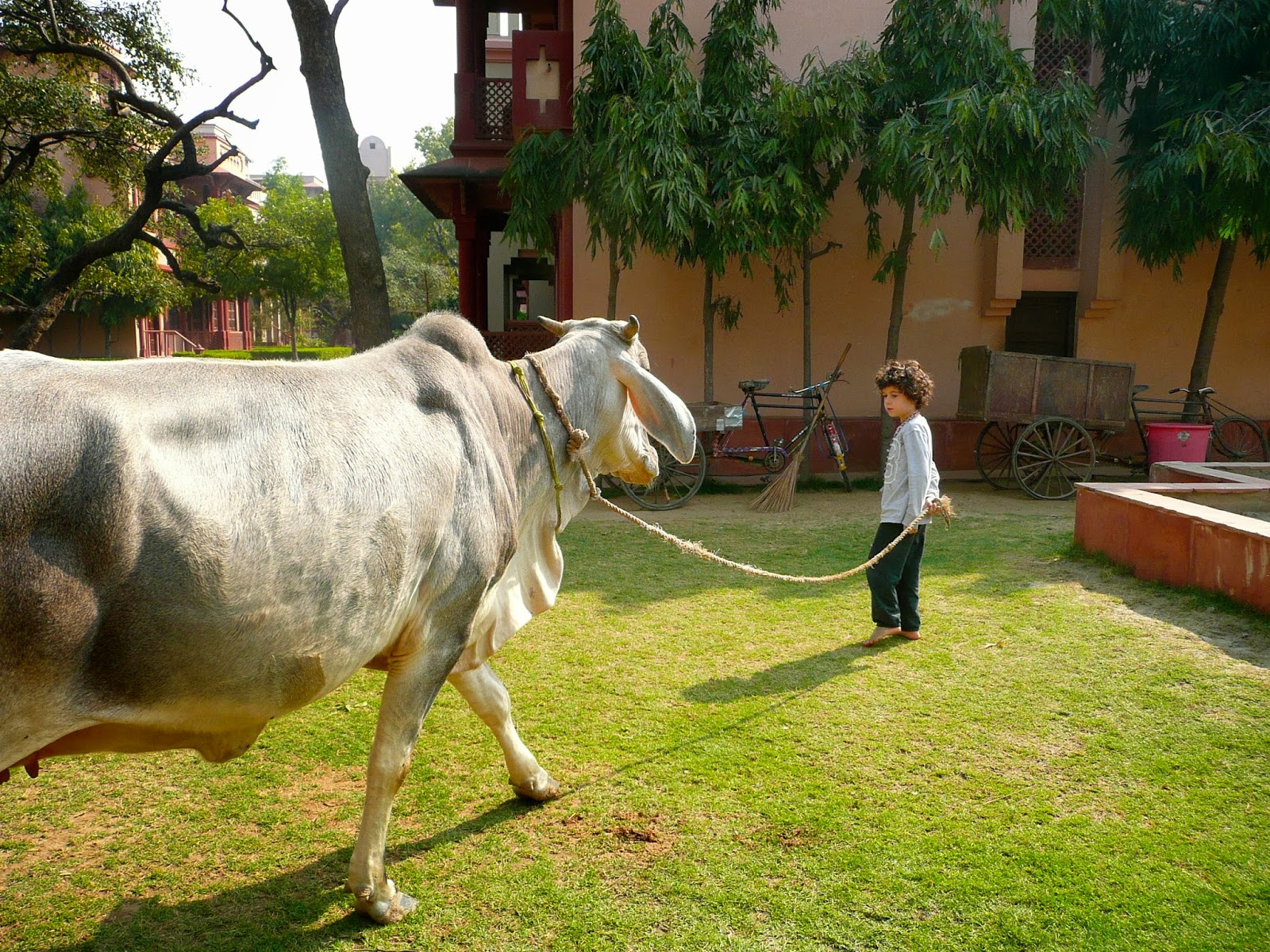 Our Indian Adventure: ahhh Vrindavan...