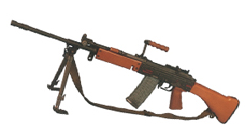 P O L I C E M A N: 5.56 mm INSAS LMG का बेसिक डाटा और स्पेसिफिकेशन