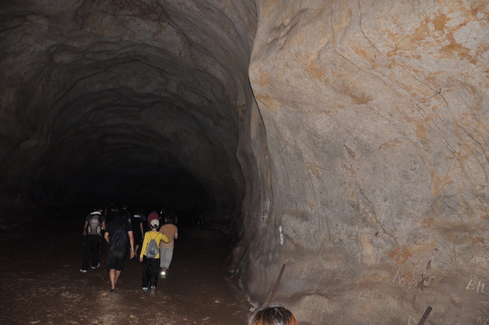 THE QUANTUM SINGULARITY: Gua Kota Gelanggi, Day 2: Gua Penyu, Gua Ular ...