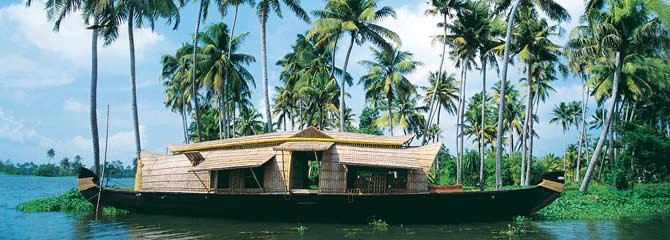 amazing cochin / kochi : Backwaters of Kochi
