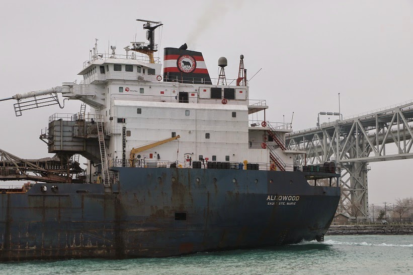 Michigan Exposures: Algowood if She Could