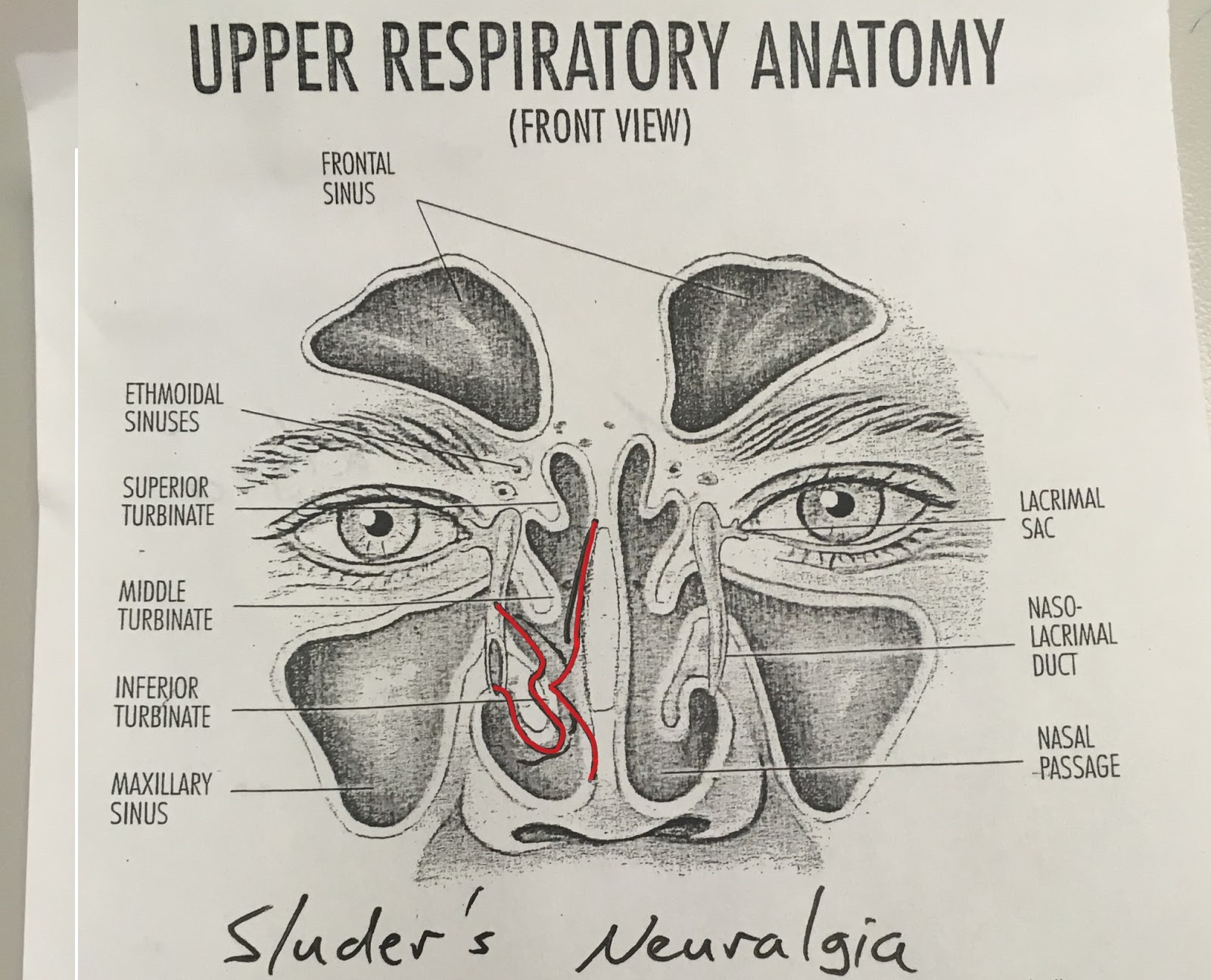 Book, Wine and Time: Sluder's Neuralgia