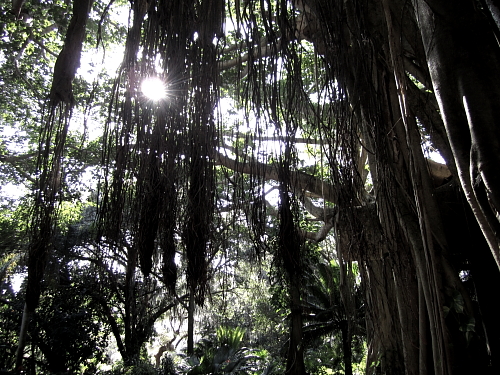 GetawayMoments: LEGOLAND Florida First Anniversary