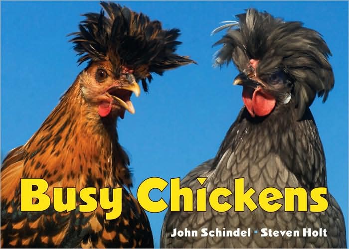 CHICKEN LIT: Book Bok! Busy Chickens, by John Schindel and Steven Holt