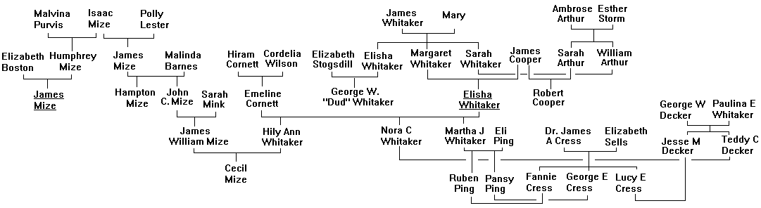 Shaking Paper: Genealogy Report of Elisha Whitaker (1862-1901)