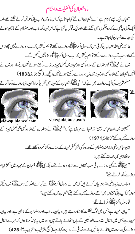 View Guidance for You: 15th Shaaban or Shaban The Night of Records