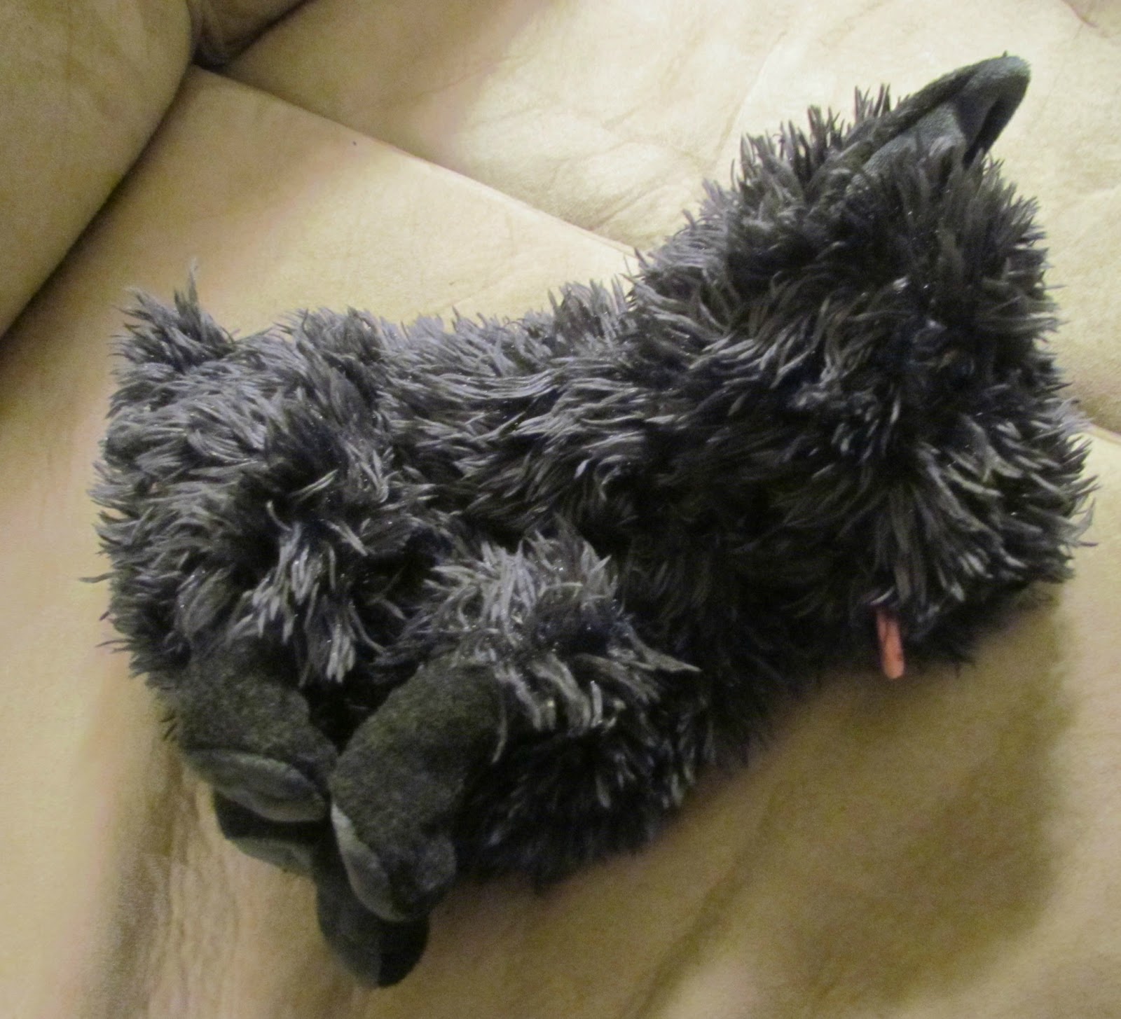 Growing Puppies - Virginia Schnoodle Breeder --Hypoallergenic Dogs: DIY ...