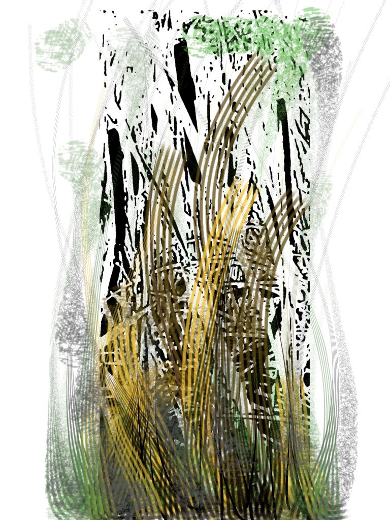 Suzi Thompson printmaker: April 2012