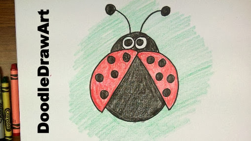 Doodle Draw Art: How to Draw a Ladybug - Easy Drawing Lesson for Kids!