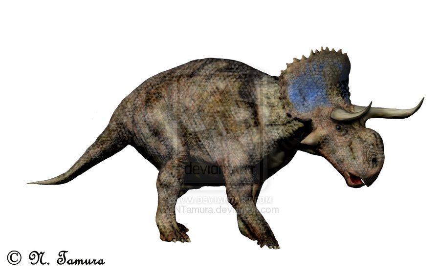 FAMILIA CERATOPSIDAE: DINOSAURIOS: FAMILIA CERATOPSIDAE