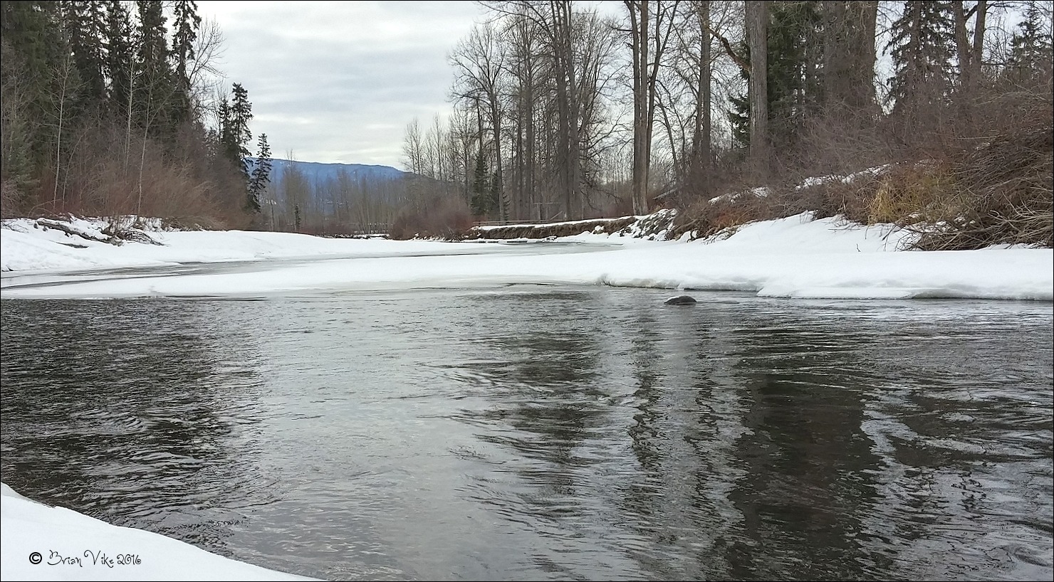 Northern Interior British Columbia: Winter’s Thaw 7 Bulkley River ...
