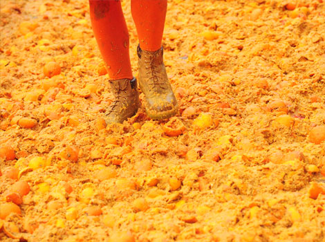 Kuweight 64: BATTLE OF ORANGES 2012 - ORANGE THROWING FESTIVAL IN ITALY