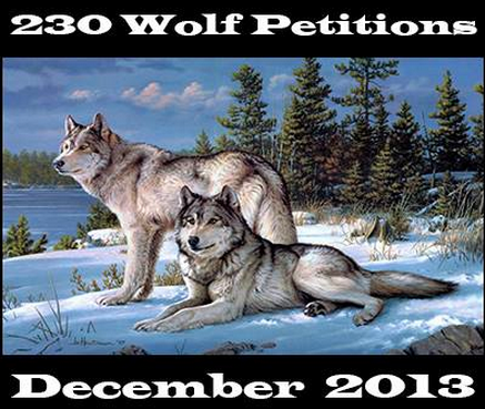 STOP WOLF HUNTS: WOLF PETITIONS