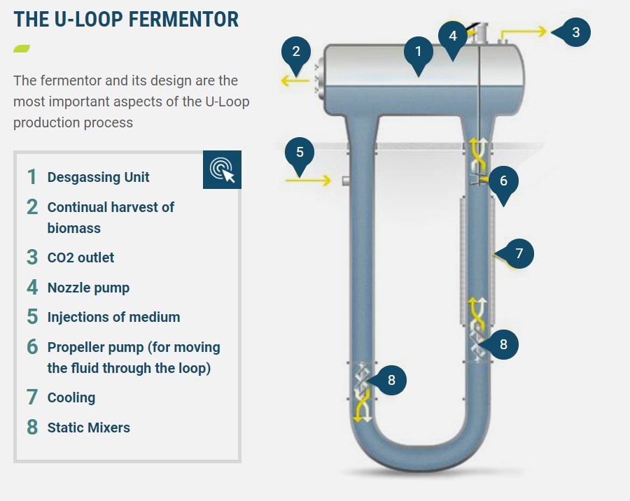 Curiosidades de la Microbiología: 2019