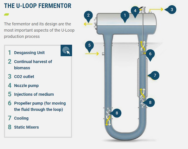 Curiosidades de la Microbiología: 2019