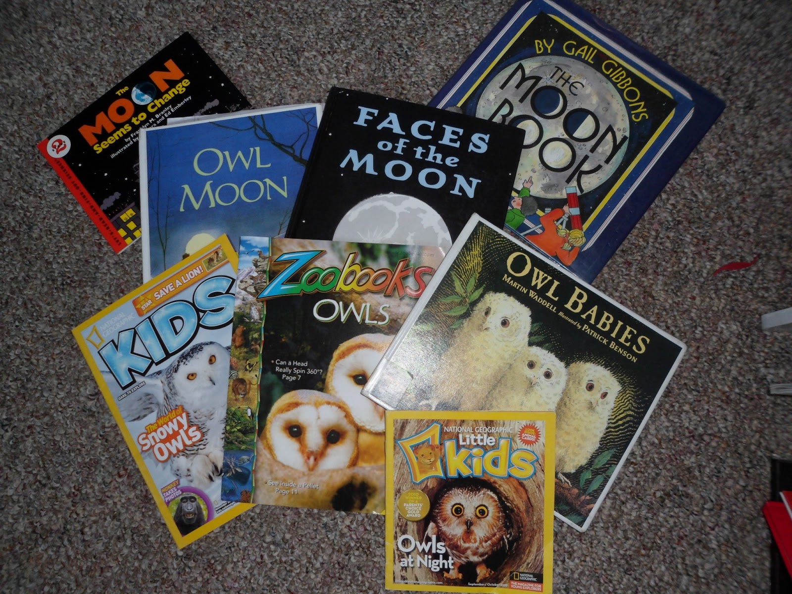 All My Baby Birds: Owl Moon {FIAR}