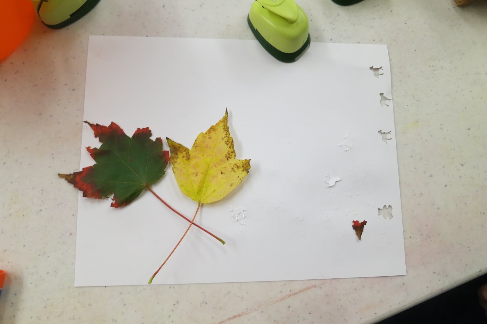 Toddler Art Class: Leaf Punching : library makers