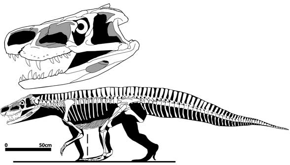 Escenarios prehistóricos: Batrachotomus