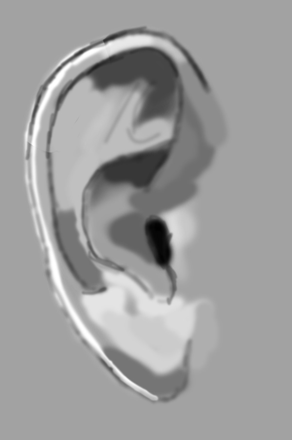 Draw Me Blog: How to draw an ear