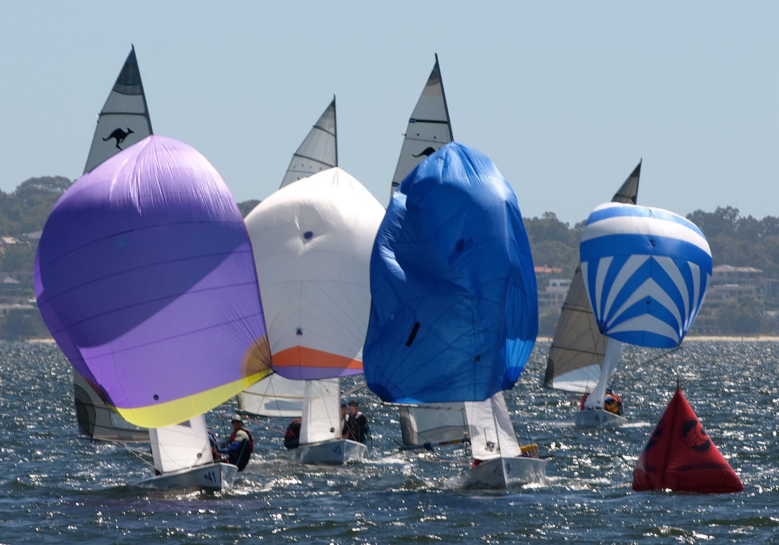 Observations in an undemocratic world: Australian Lightweight Sharpie ...