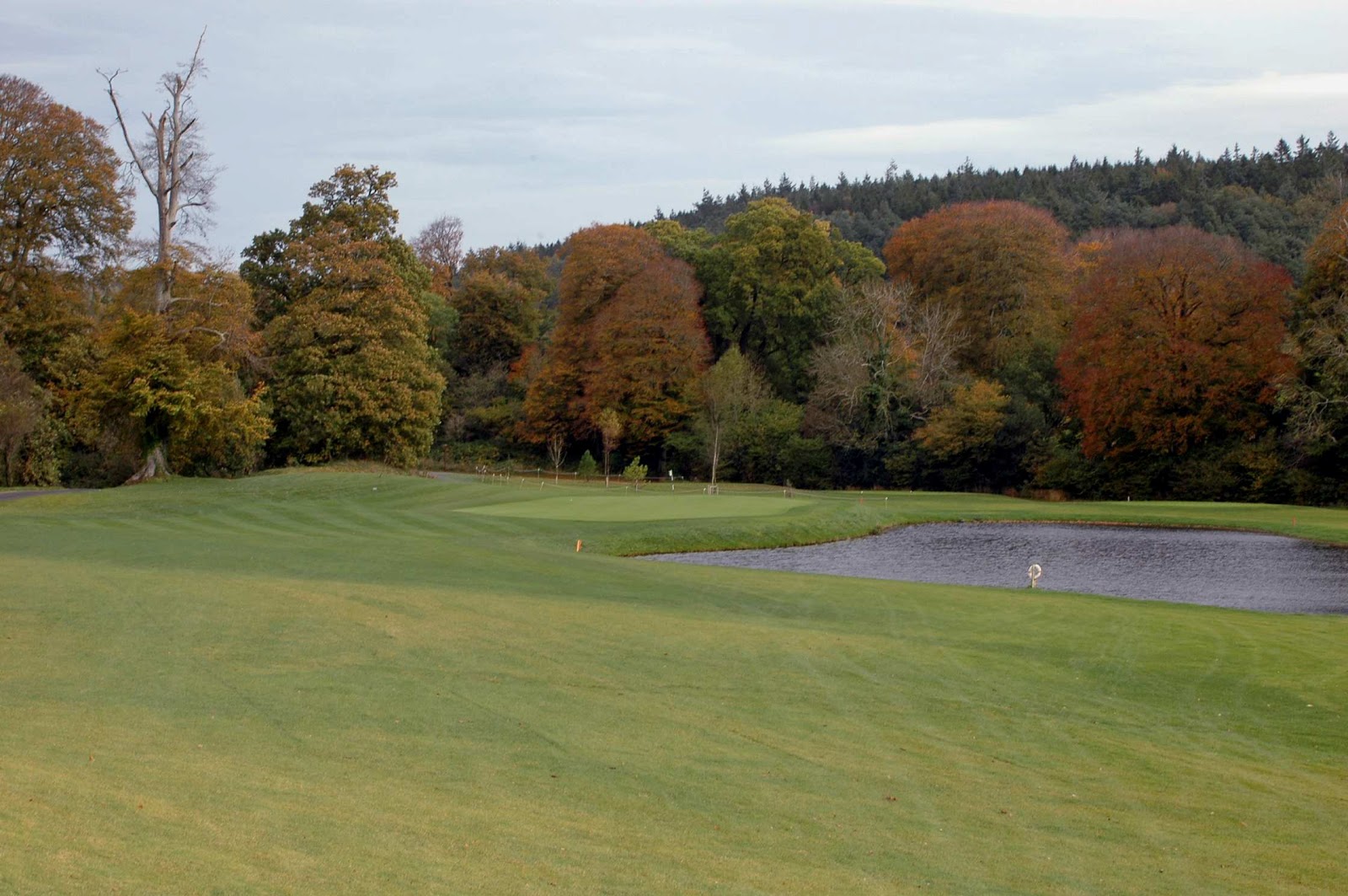 Hooked: Ireland's Golf Courses: Ireland's Golf Gathering 2 - Carlow