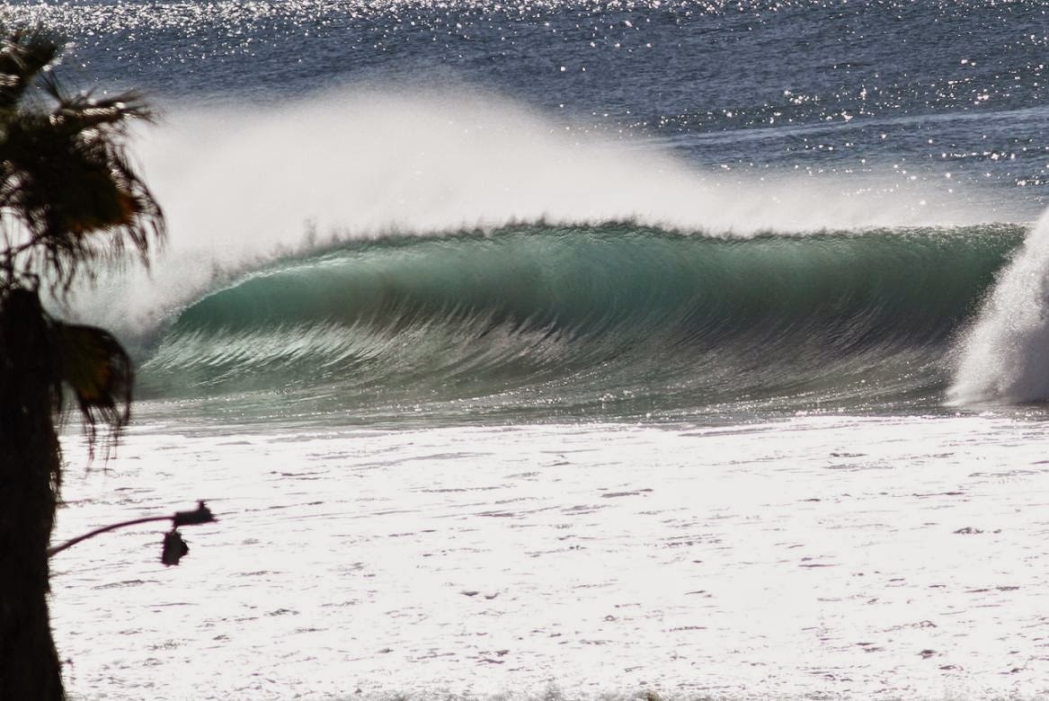 Jo's Morning Walk: High Surf Warning at San Elijo