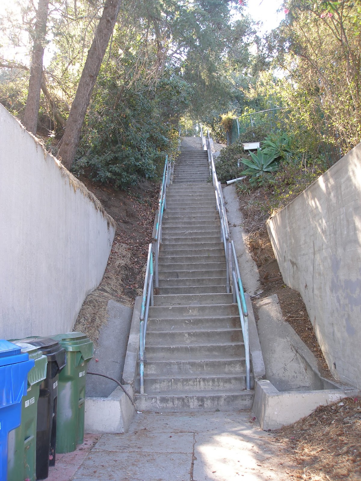 Los Angeles: Climbing the Hidden Stairways: Staircases in Hollywood